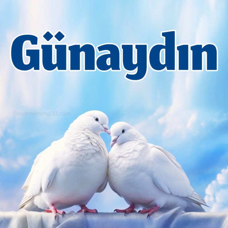 How to Say Good Morning in Top 20 Languages?