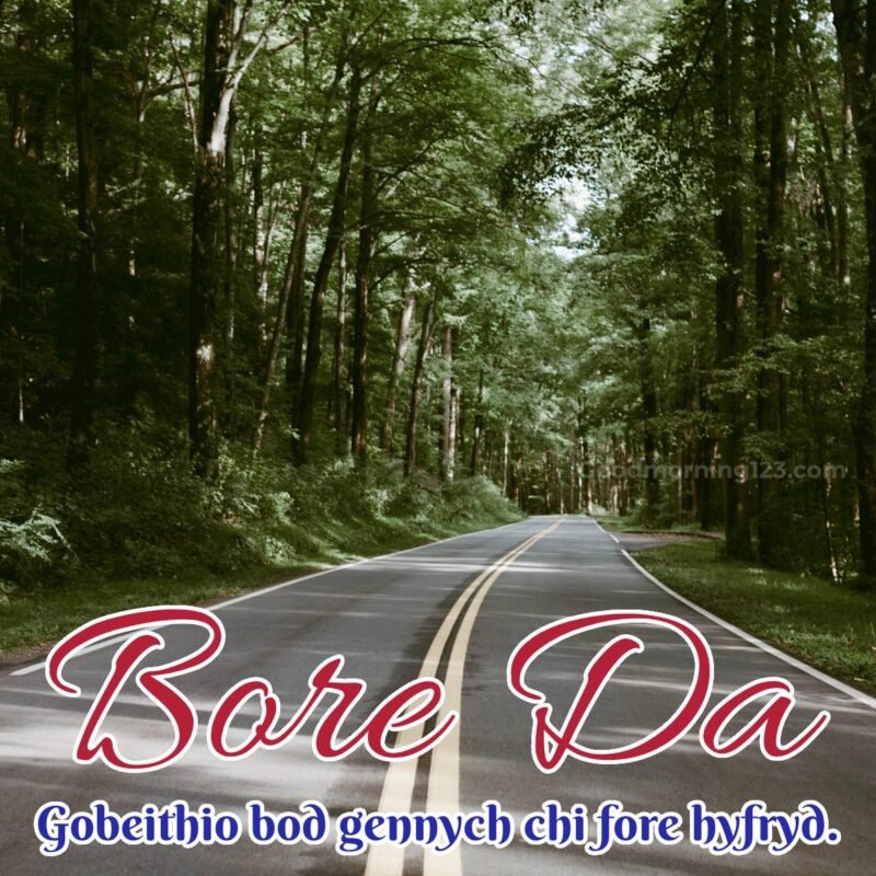 Good Morning Images & Messages In Welsh