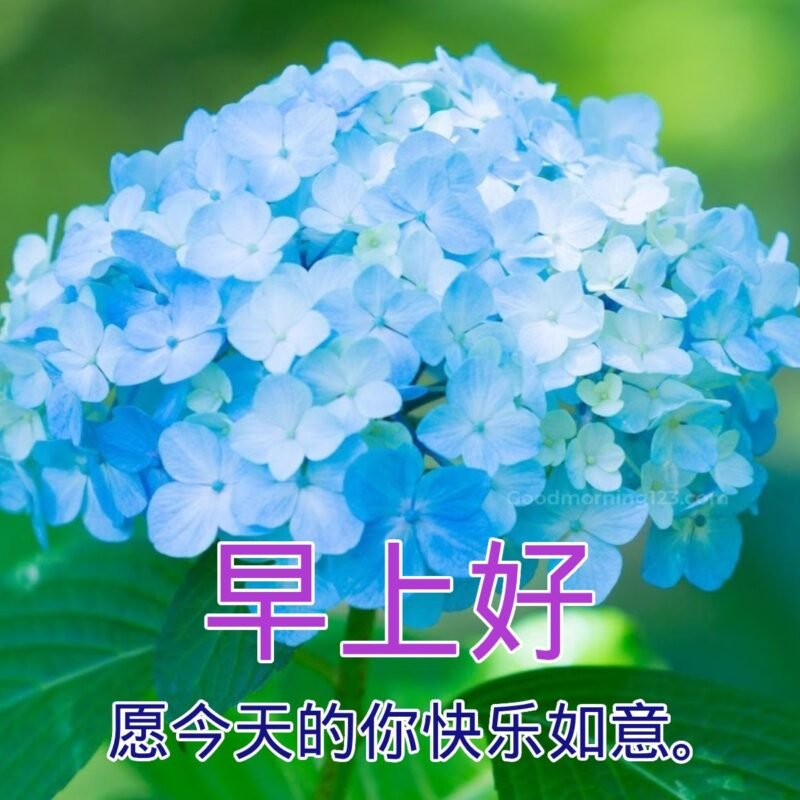 Good Morning Chinese Images & Messages