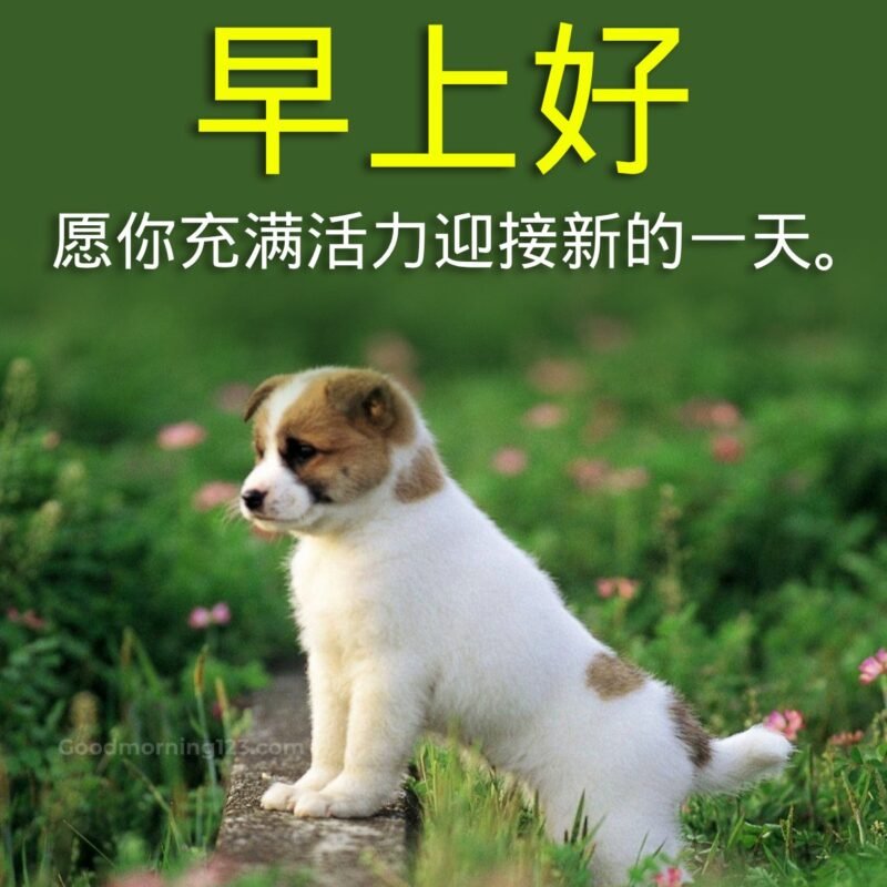 Good Morning Chinese Images & Messages