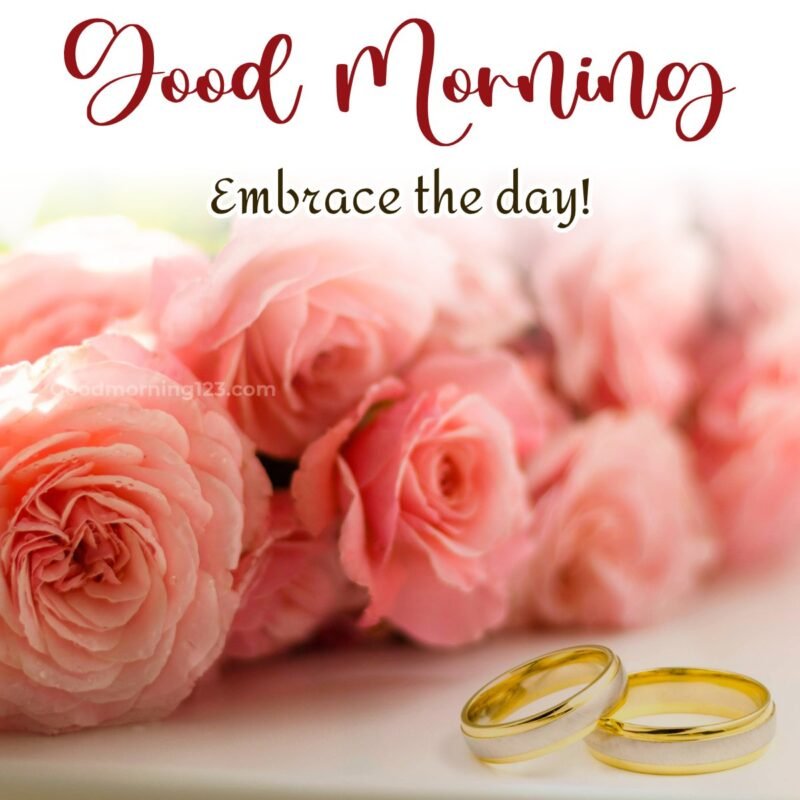 Brighten Your Day: Good Morning Pink Roses Collection