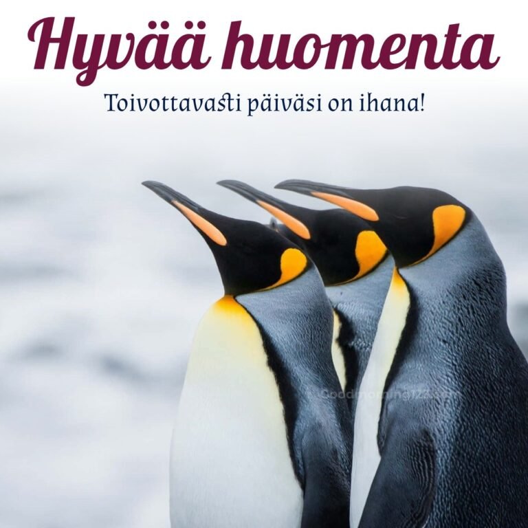 Good Morning In Finnish Photos & Messages