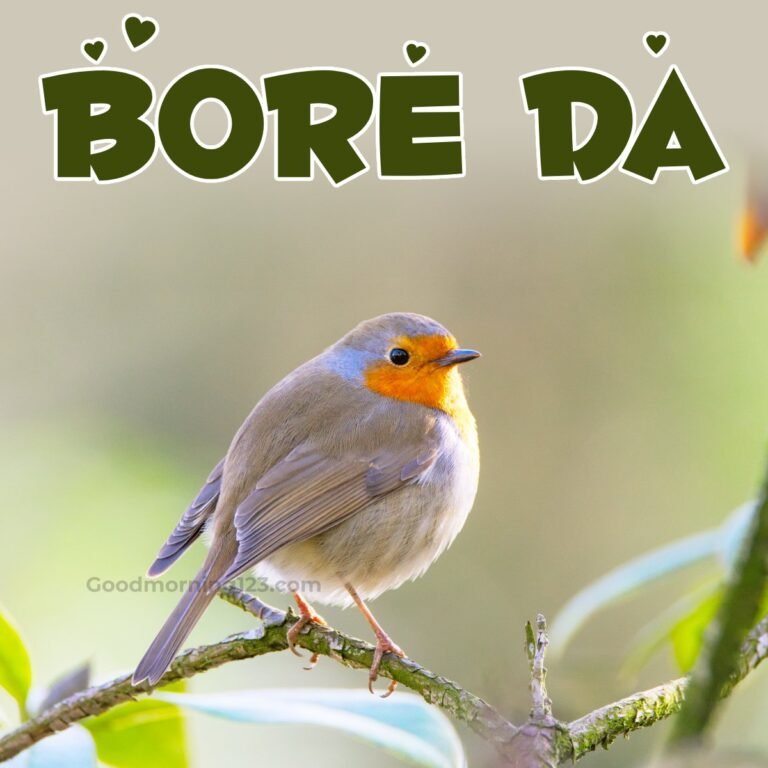 Good Morning Images & Messages In Welsh