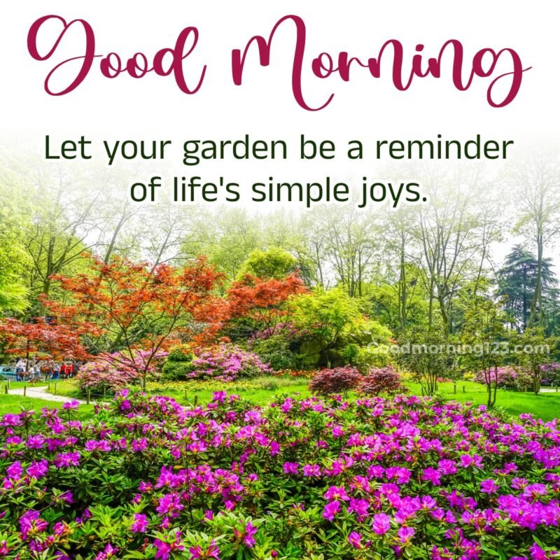 Good Morning Garden Flowers Images
