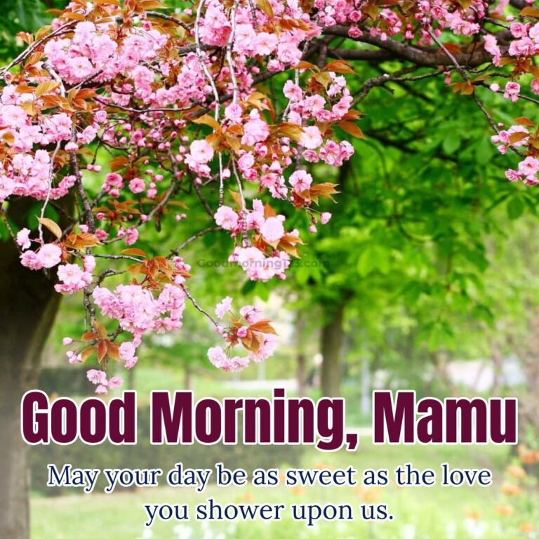 Heartfelt Greetings: Good Morning Mama Ji Images Galore