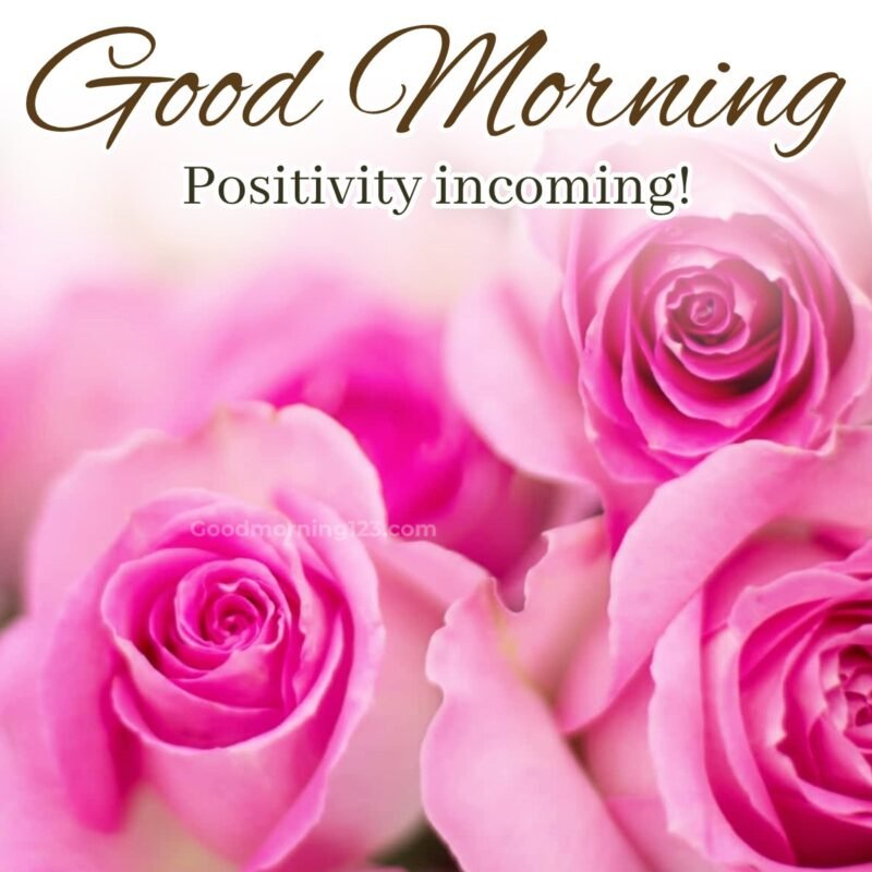 Brighten Your Day: Good Morning Pink Roses Collection