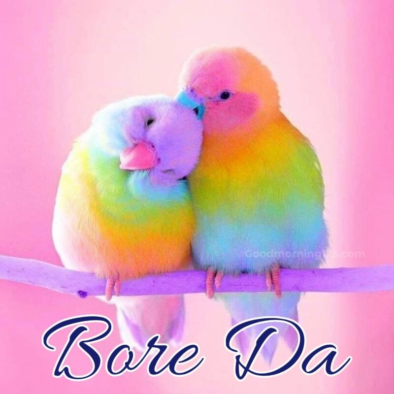 Good Morning Images & Messages In Welsh