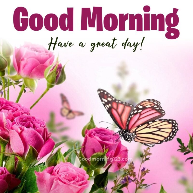 Brighten Your Day: Good Morning Pink Roses Collection
