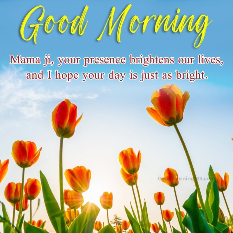Heartfelt Greetings: Good Morning Mama Ji Images Galore