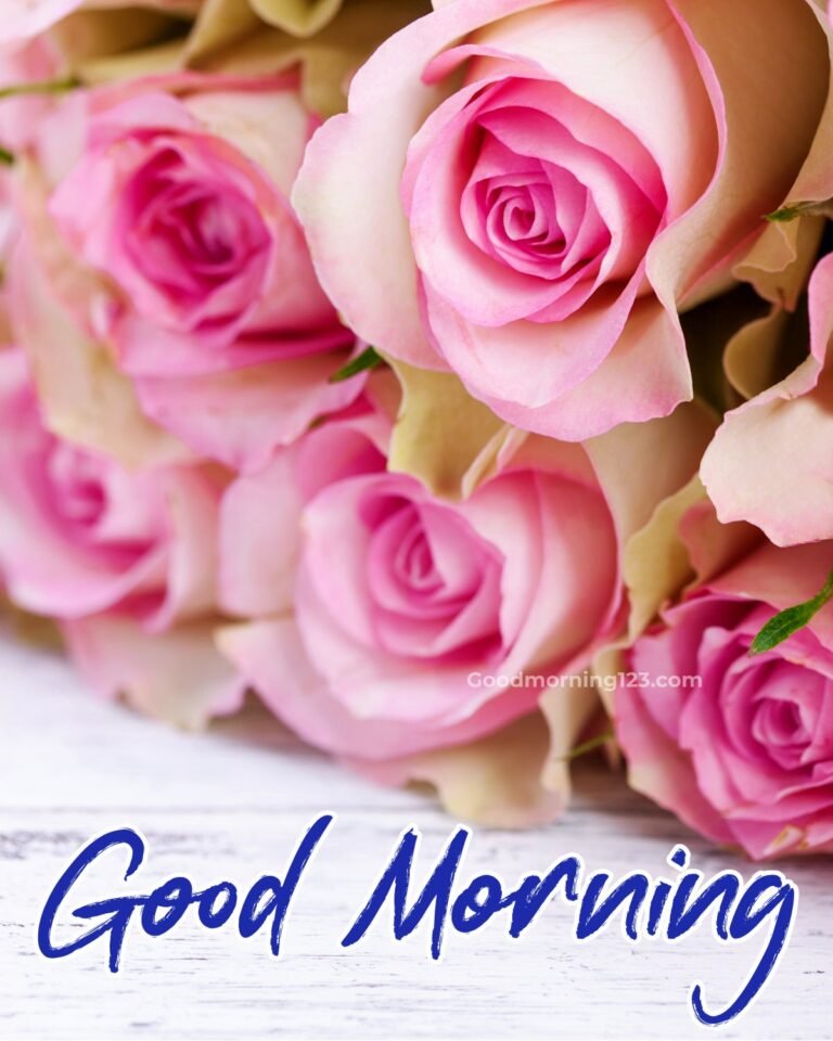 Brighten Your Day: Good Morning Pink Roses Collection