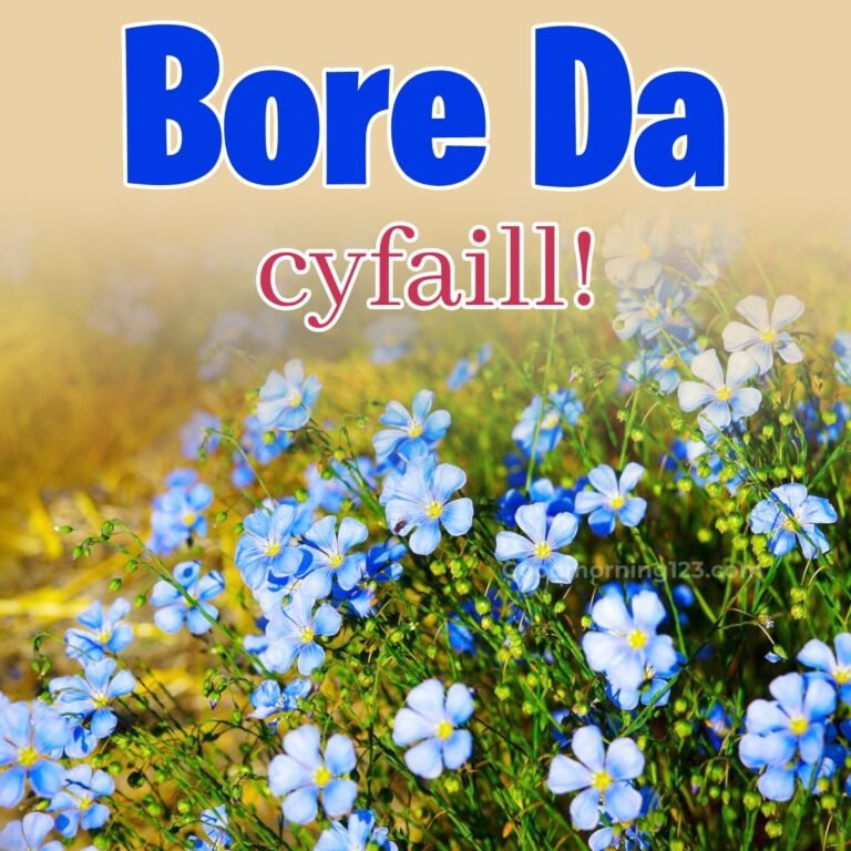 Good Morning Images & Messages In Welsh