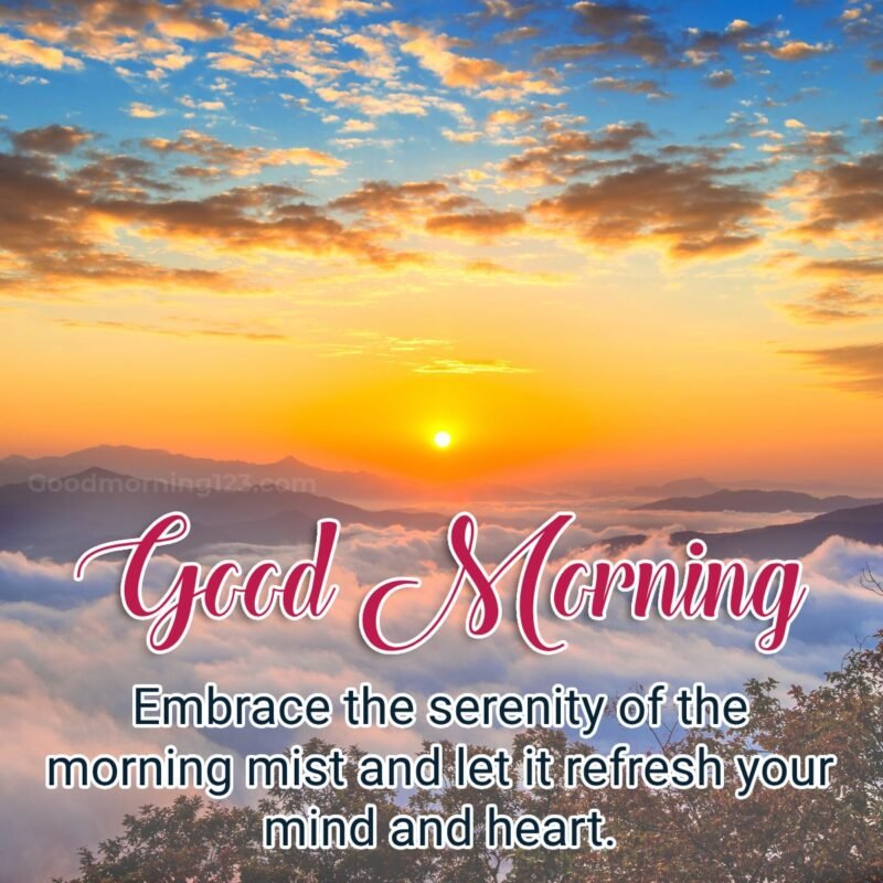 Beautiful Good Morning Nature Photos to Brighten Your Day