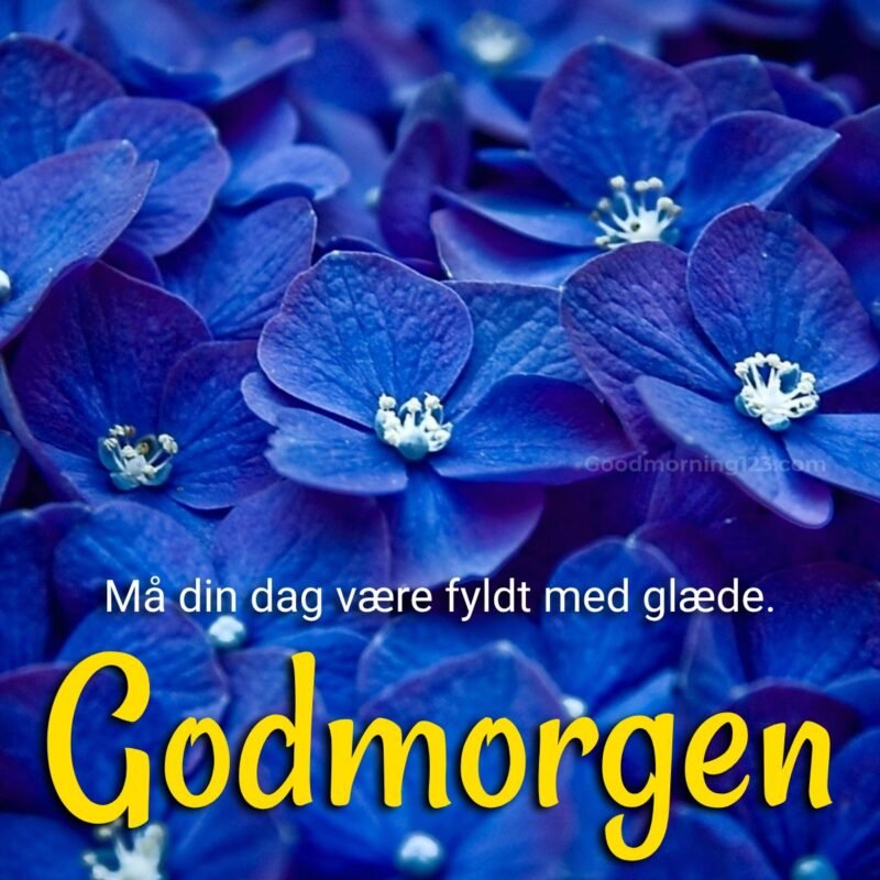Good Morning In Danish Images & Messages