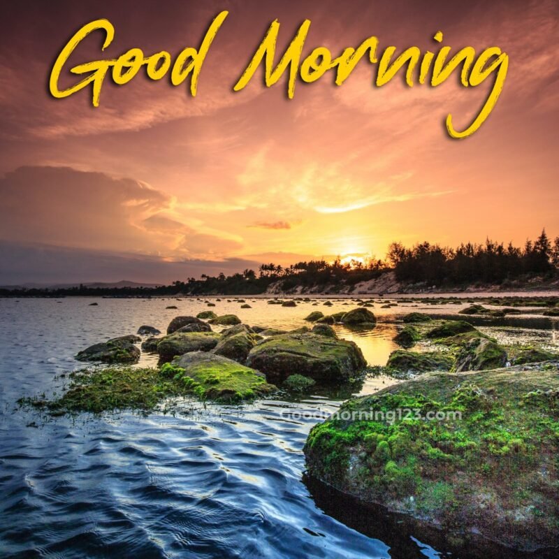 Beautiful Good Morning Nature Photos to Brighten Your Day