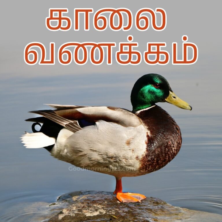 Good Morning Tamil Images, Wishes & Greetings