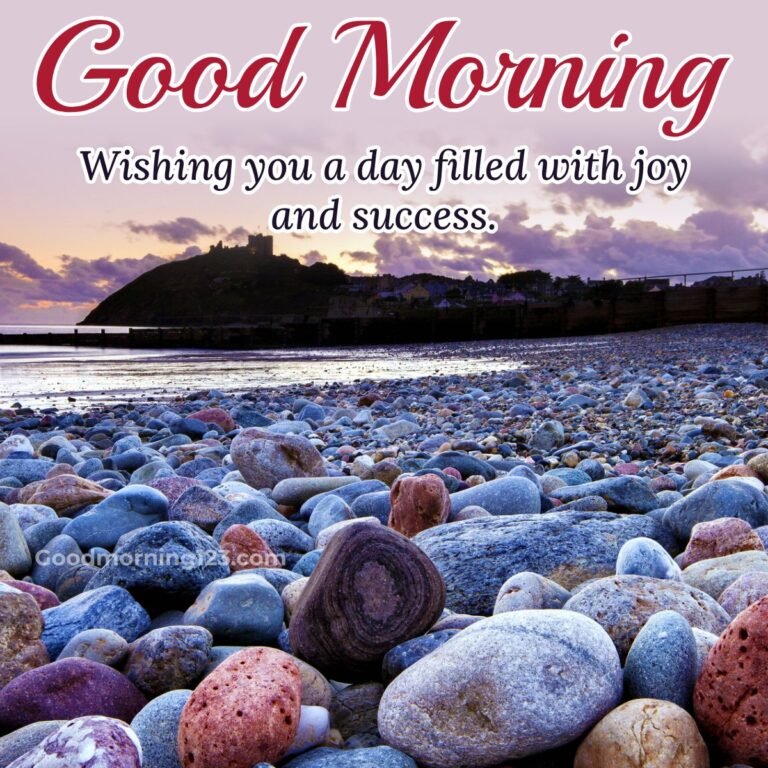 Beautiful Good Morning Nature Photos to Brighten Your Day