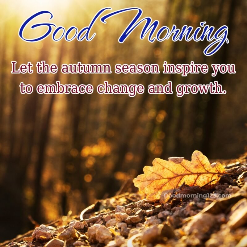 90+ Good Morning Fall Images And Gifs