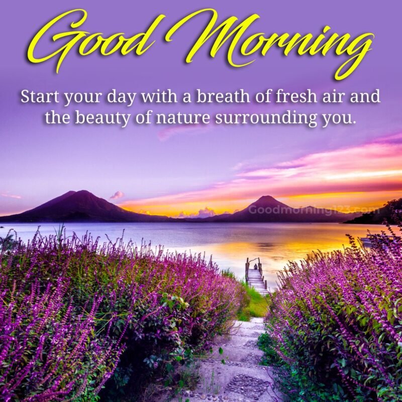 Beautiful Good Morning Nature Photos to Brighten Your Day