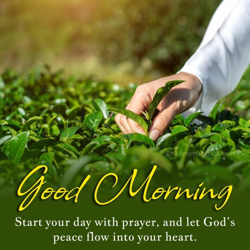 Divine Inspirations And Prayers Good Morning Images