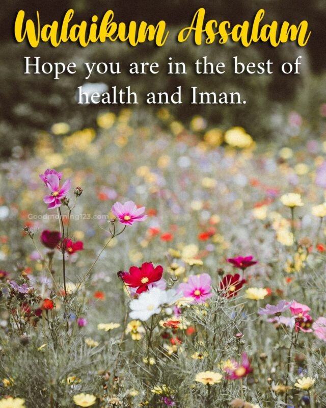 Walaikum Assalam Images & Messages