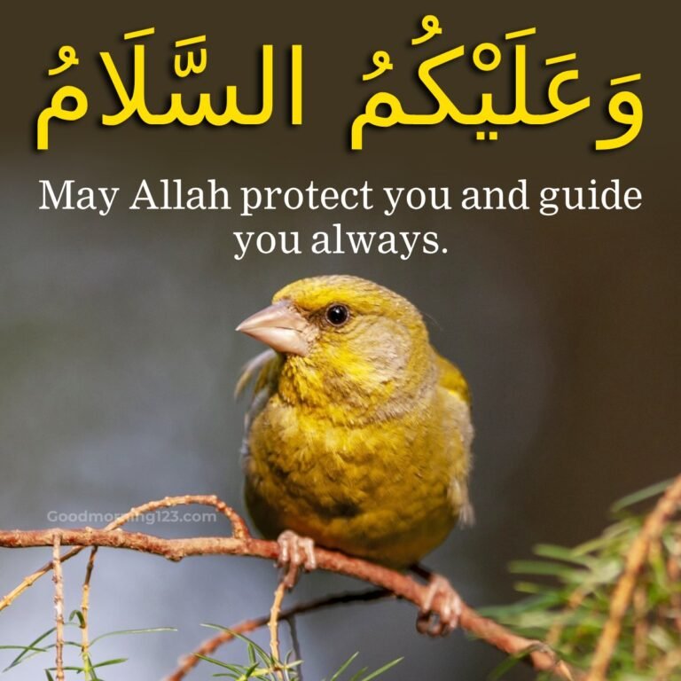 Walaikum Assalam Images And Messages