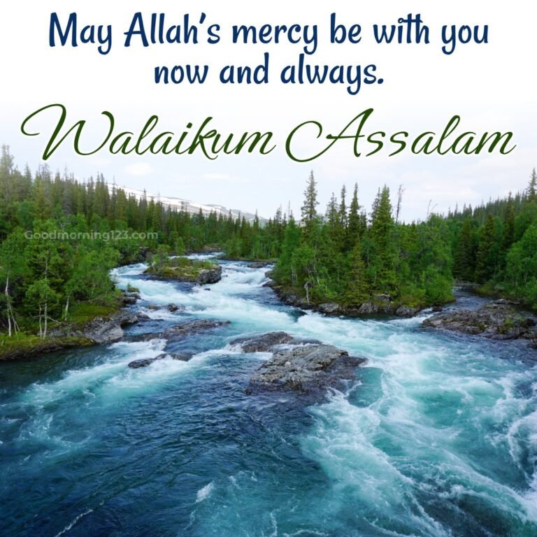 Walaikum Assalam Images & Messages
