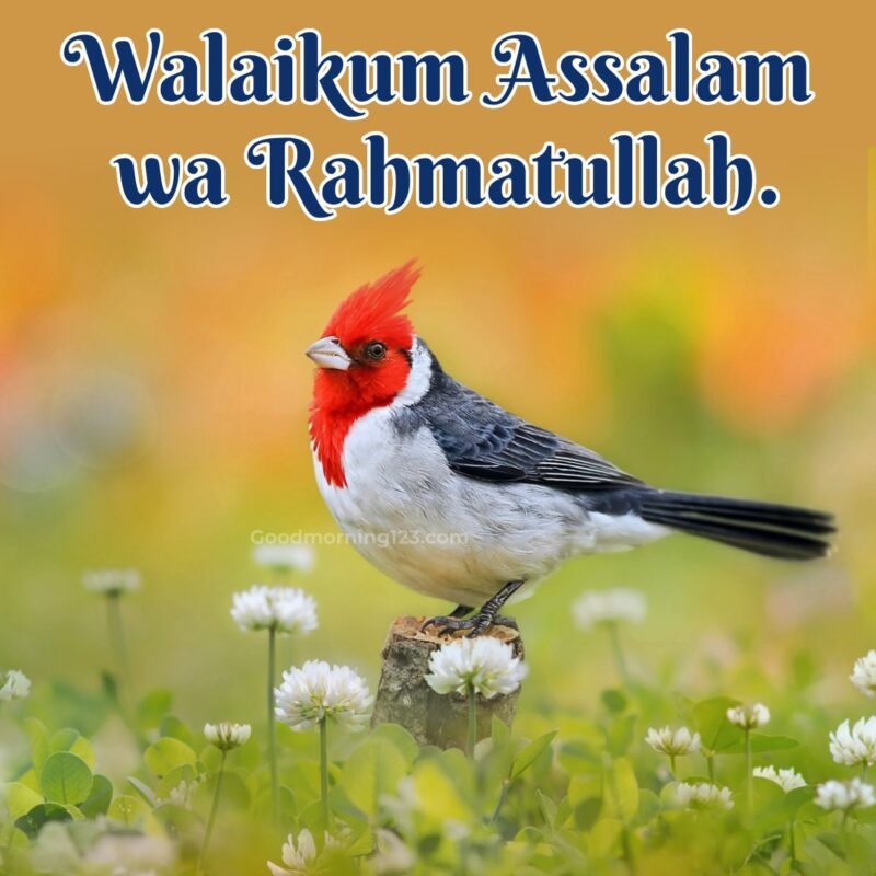 Walaikum Assalam Images & Messages