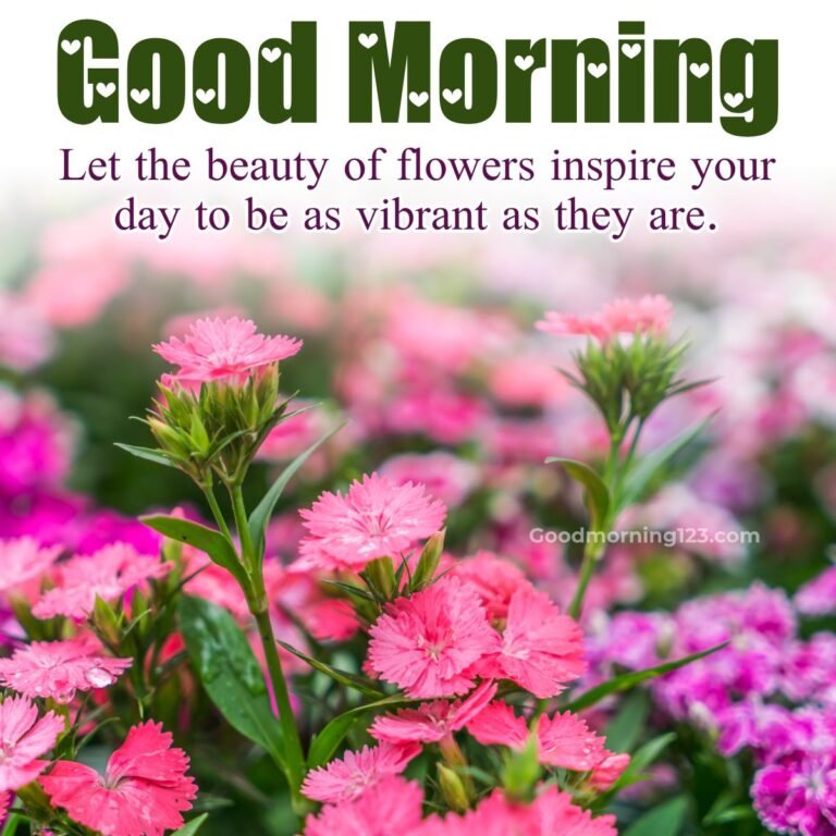 250+ Good Morning Flowers Wishes, Images And Gifs