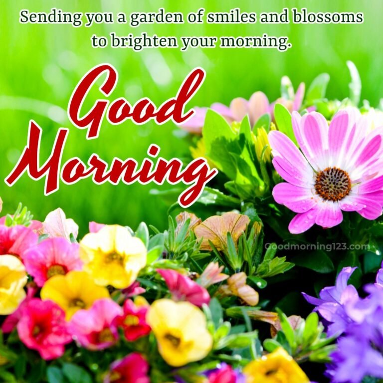 250+ Good Morning Flowers Wishes, Images And Gifs