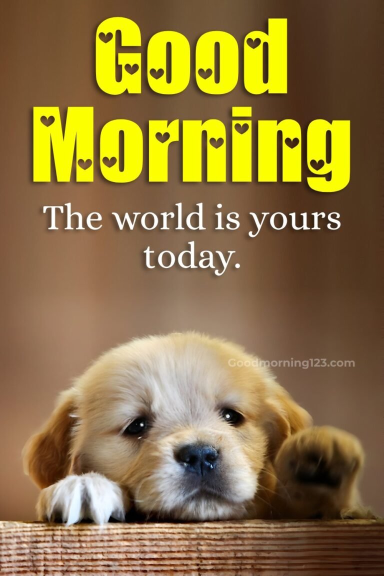 Start Your Day with Adorable Good Morning Puppies Images
