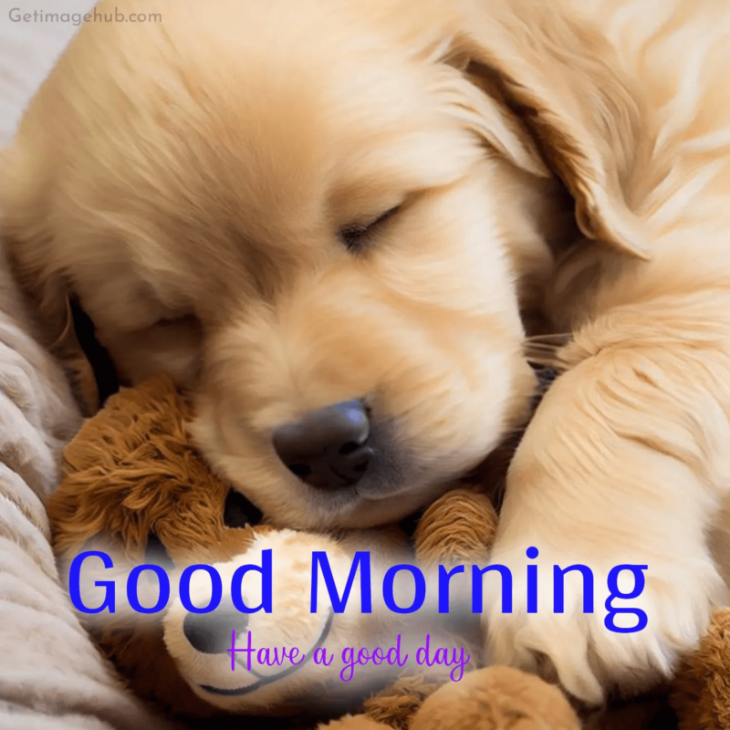 Start Your Day with Adorable Good Morning Puppies Images