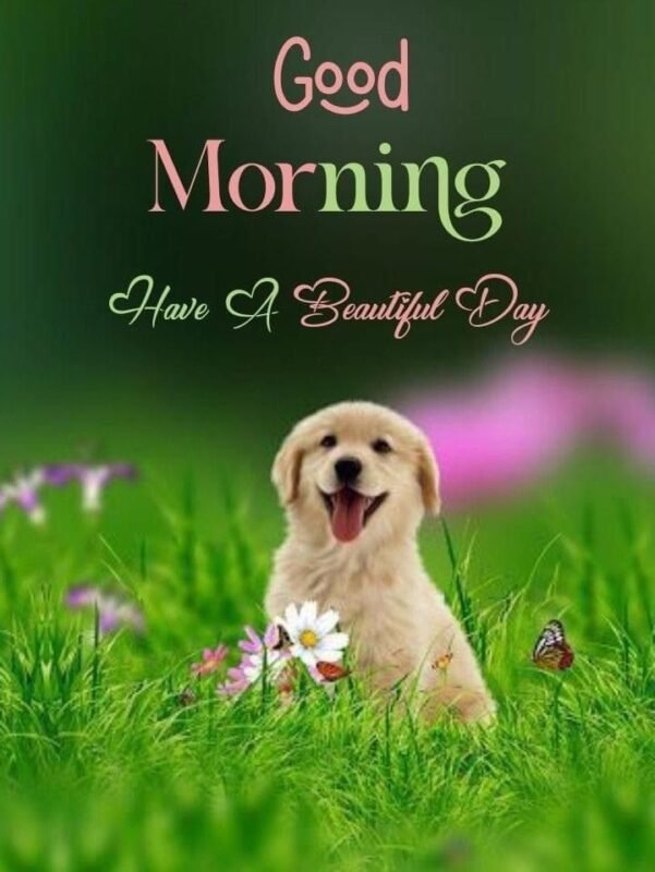 Start Your Day with Adorable Good Morning Puppies Images