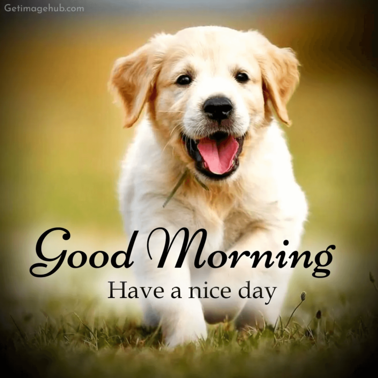 Start Your Day with Adorable Good Morning Puppies Images