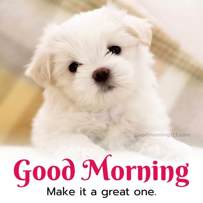 Start Your Day with Adorable Good Morning Puppies Images