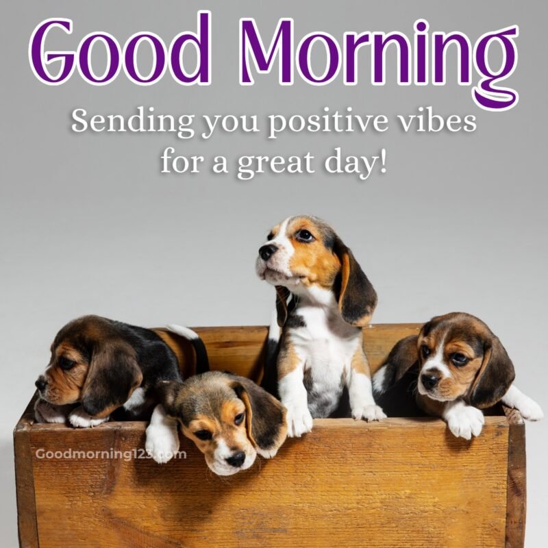 Start Your Day with Adorable Good Morning Puppies Images