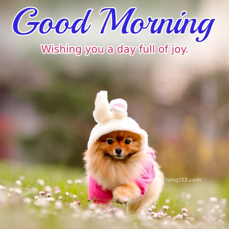 Start Your Day with Adorable Good Morning Puppies Images