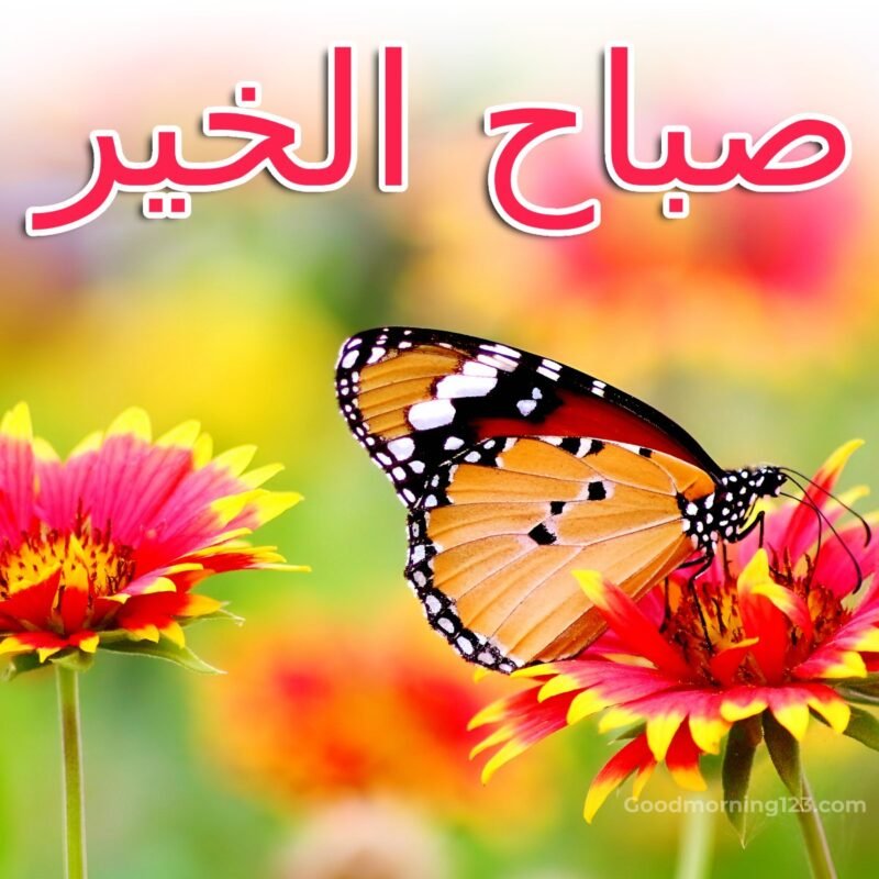 Good Morning Arabic Images, Wishes & Greetings