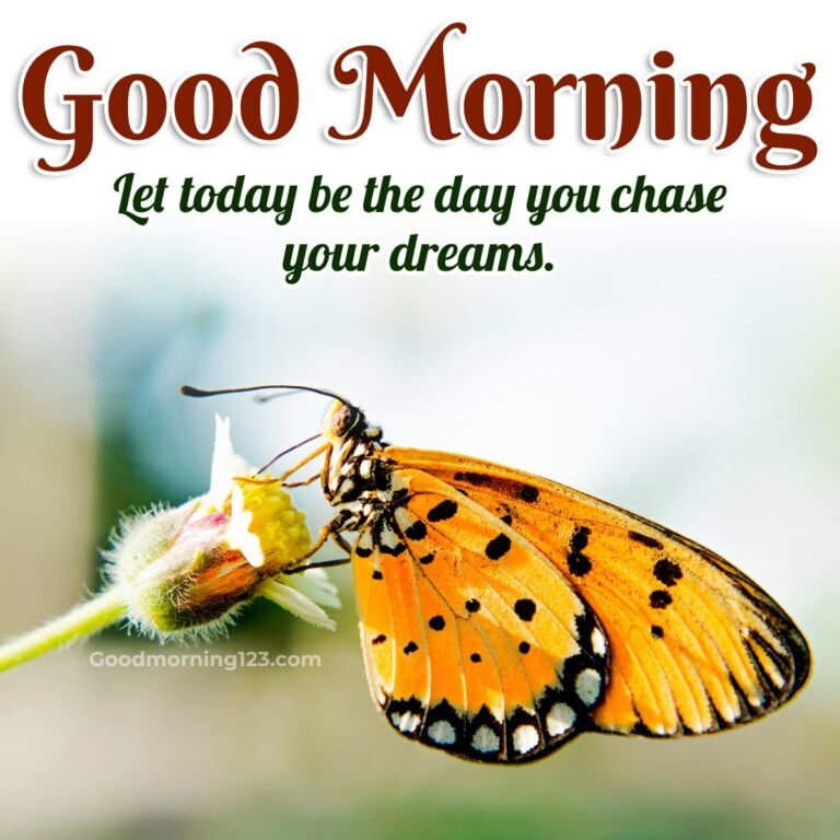 Beautiful Butterfly Good Morning GIFs And Photos