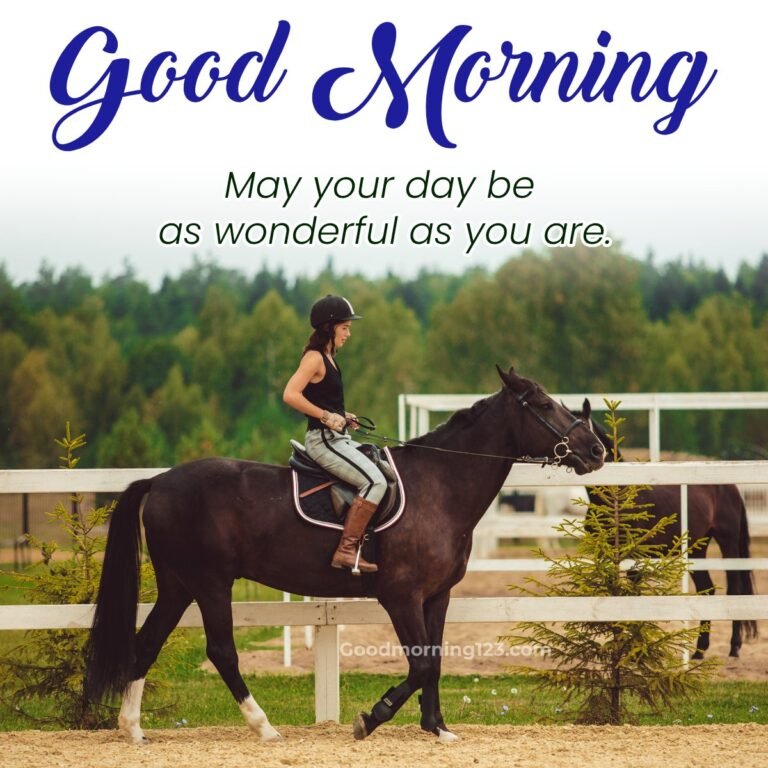 Horse Good Morning Pictures