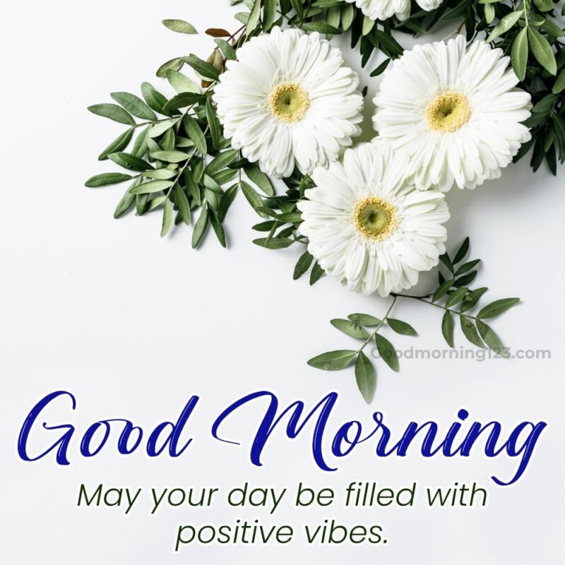 White Flower Good Morning Photos