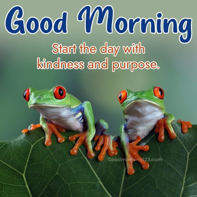 Good Morning Frog Pictures And GIFs