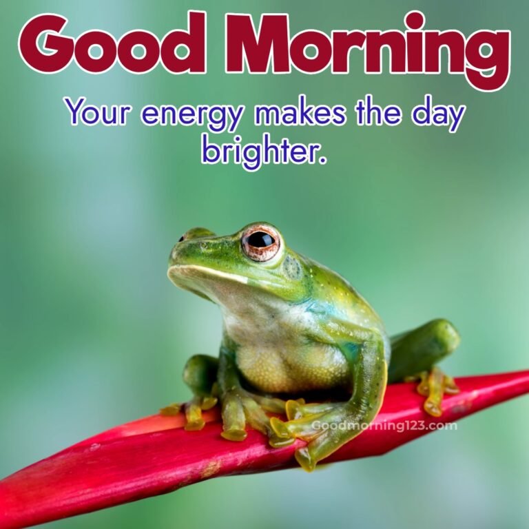 Good Morning Frog Pictures And GIFs