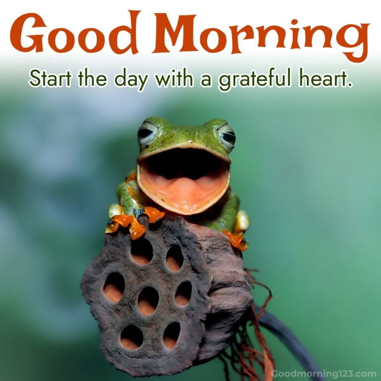 Good Morning Frog Pictures And GIFs