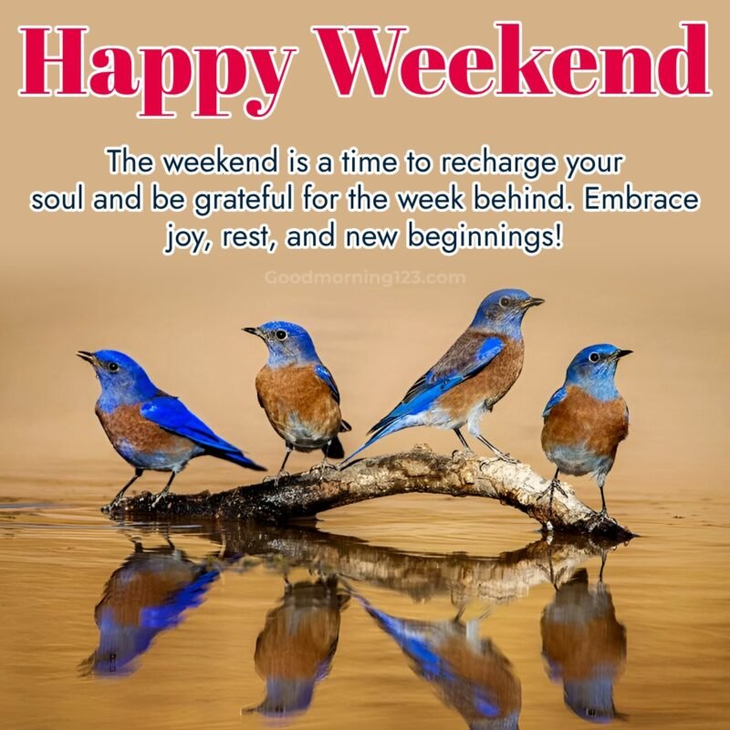 Good Morning Weekend Images, Wishes & Greetings