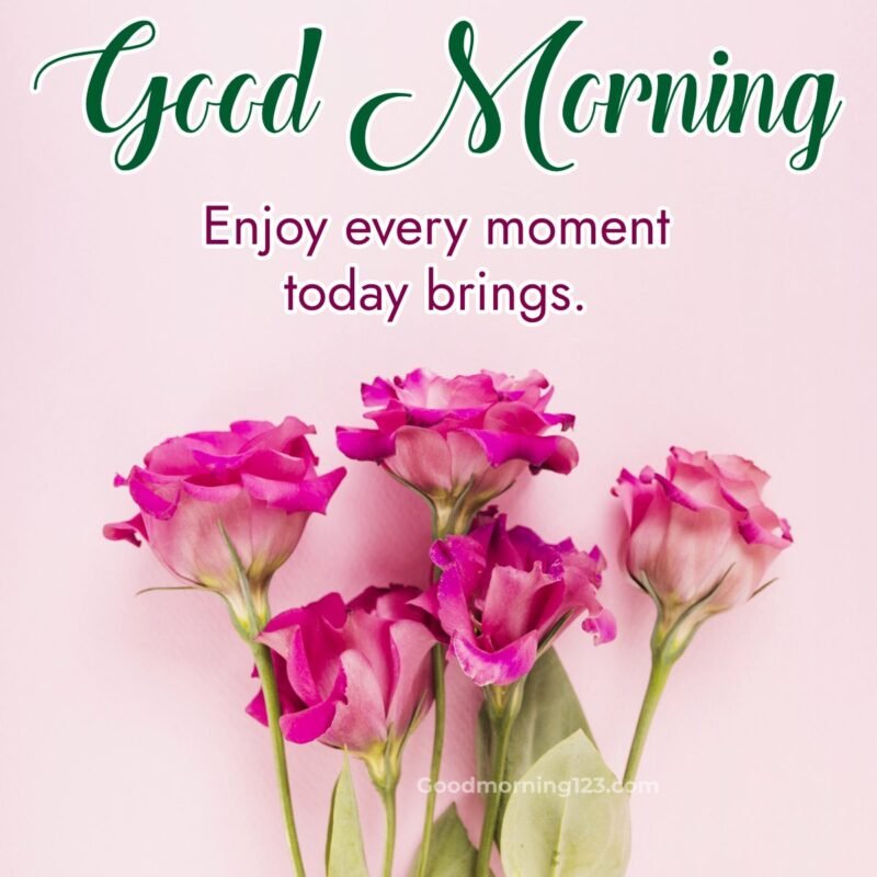 Good Morning Pink Flower Images, Wishes & Greetings