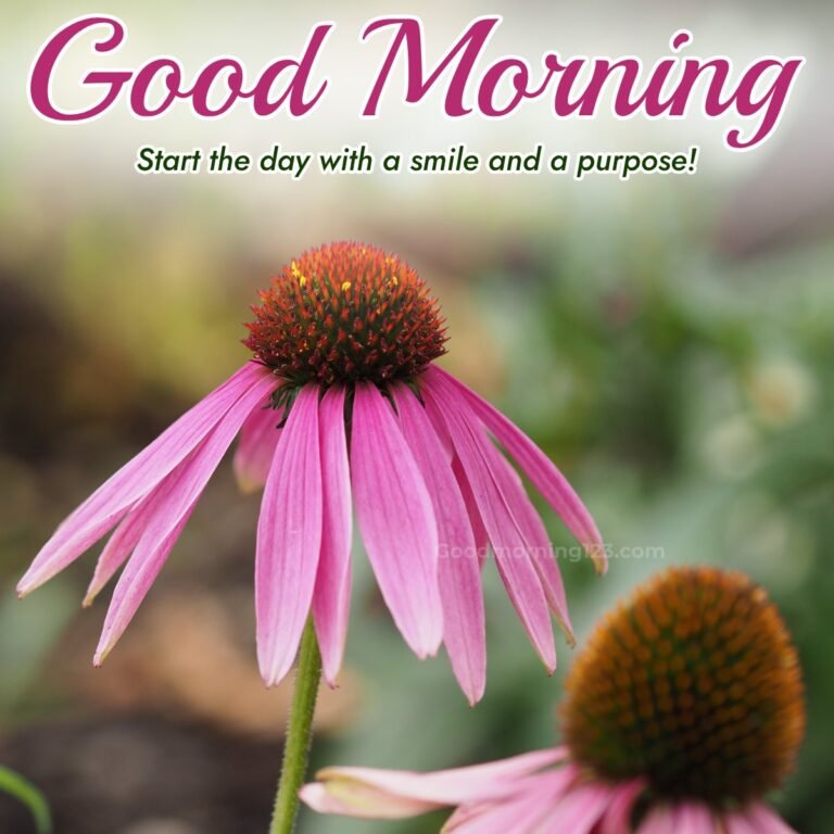 Good Morning Pink Flower Images, Wishes & Greetings