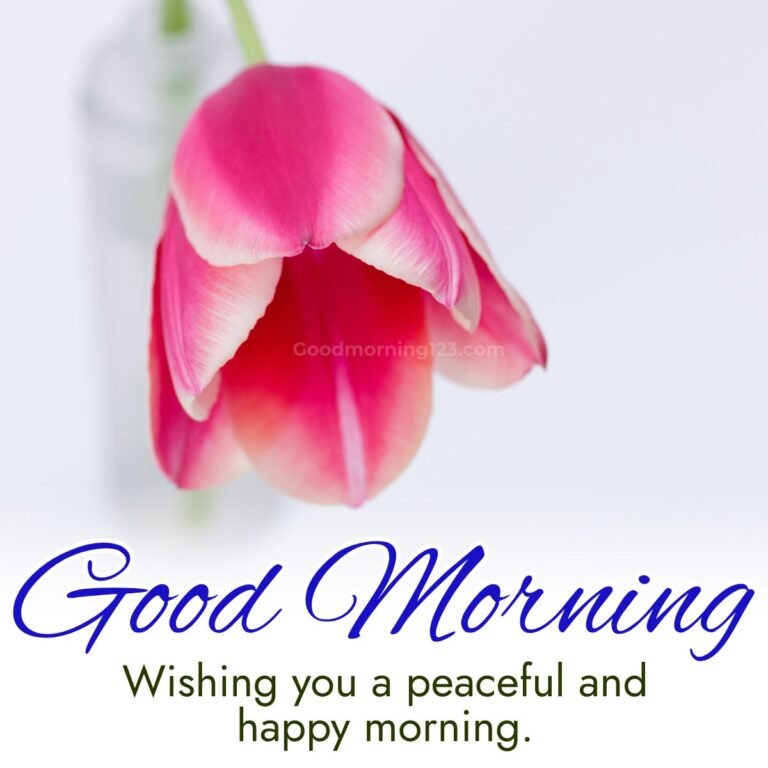 Good Morning Pink Flower Images, Wishes & Greetings