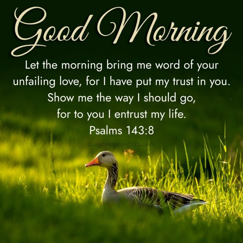 Good Morning Bible Images, Wishes & Greetings